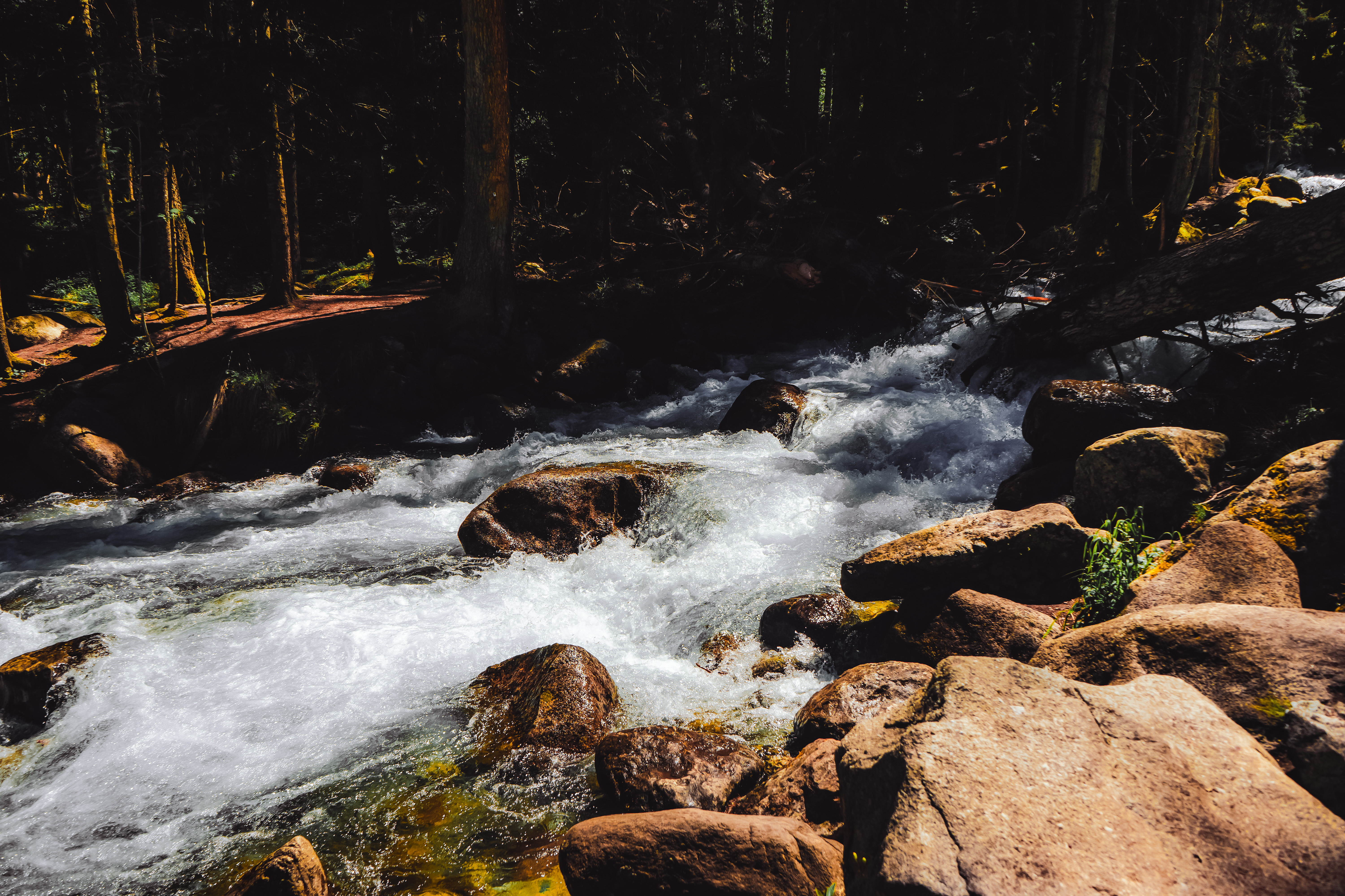 VANYX | Die Revolution unter den Camper Vans