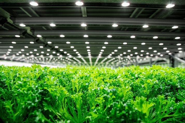 Get in touch — VAXA