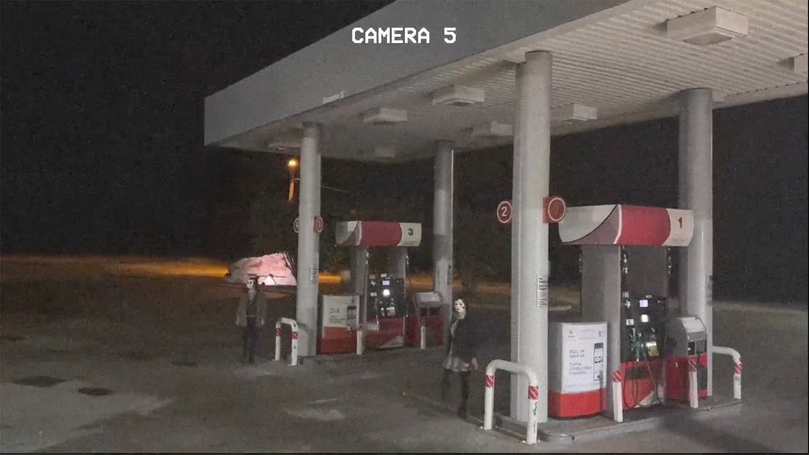 Strange Figures Spotted: Who are they? - Visit Venus, Oregon