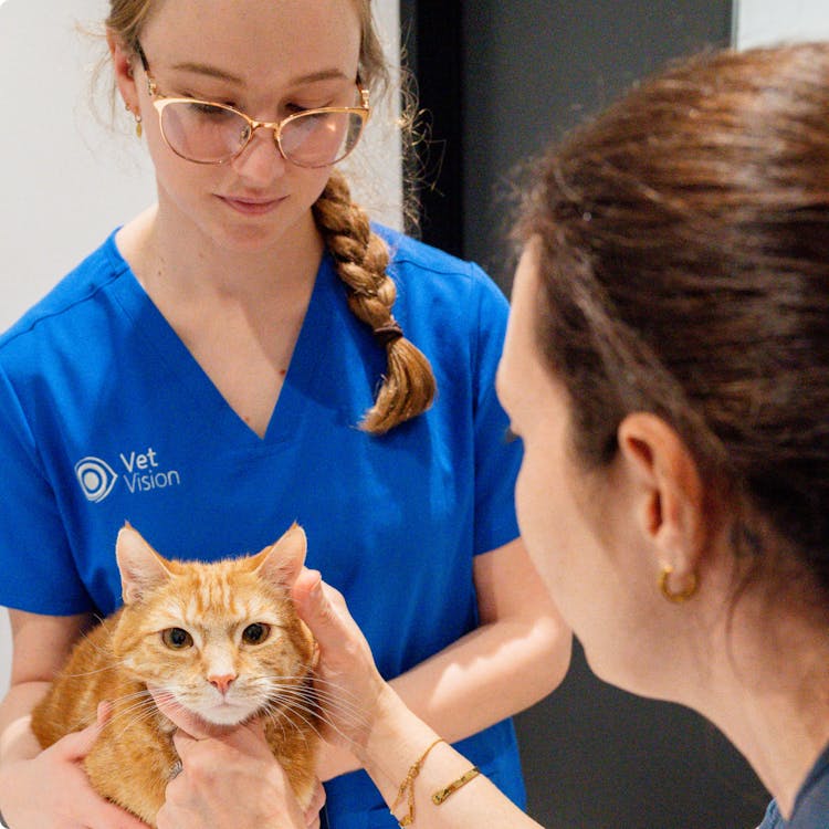 Vet Vision North Canberra