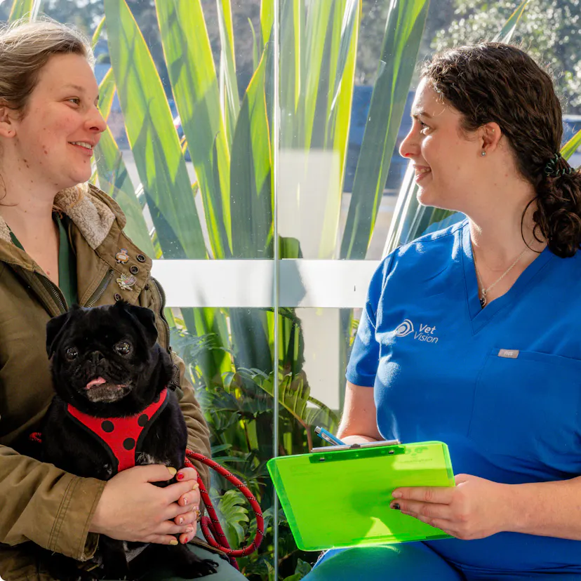 Vet Vision East Canberra
