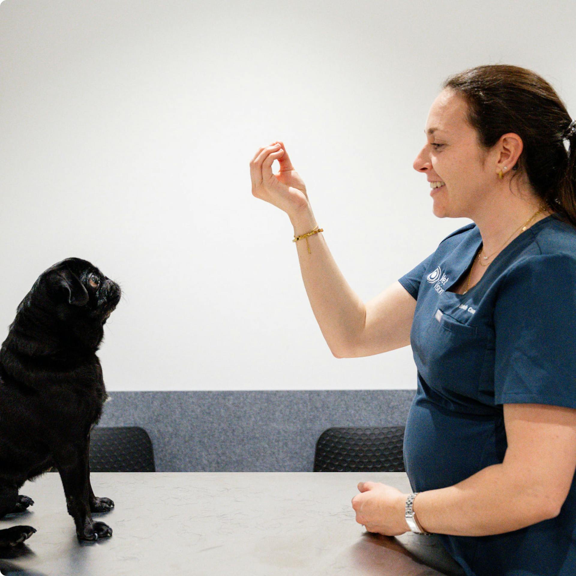 Vet Vision Newcastle