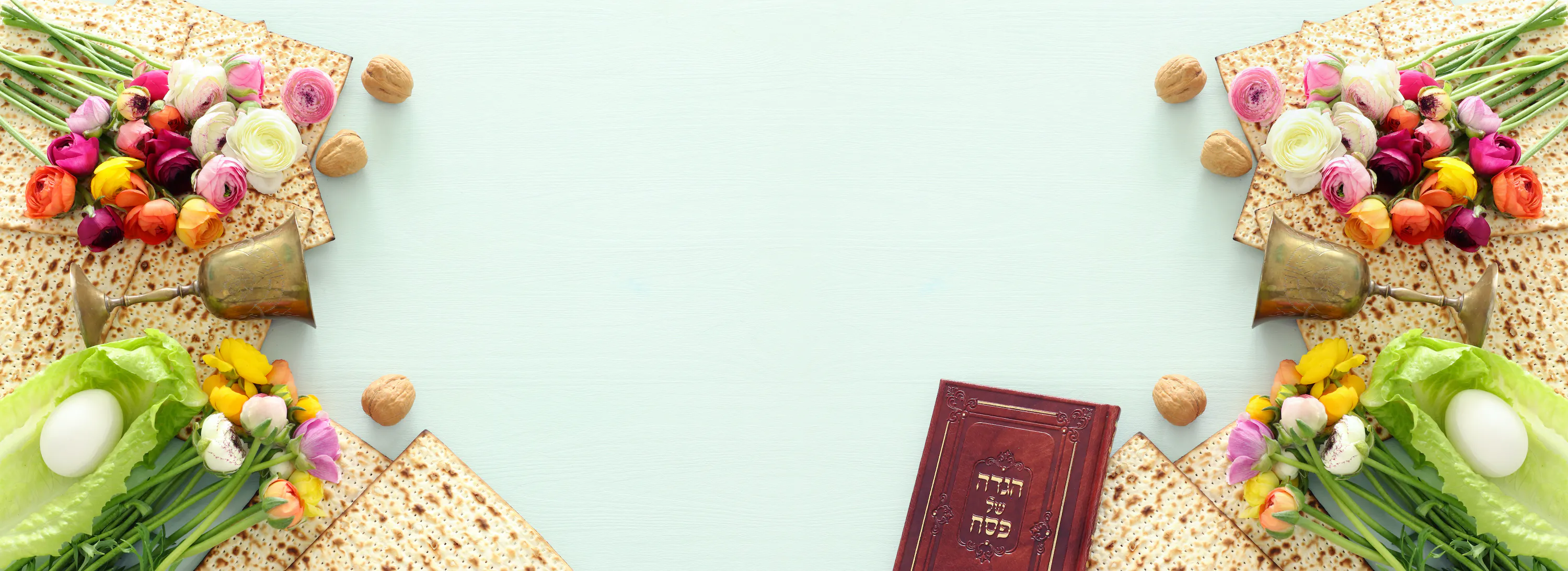 The Passover Lamb - God’s Provision | Blog | Vision for Israel