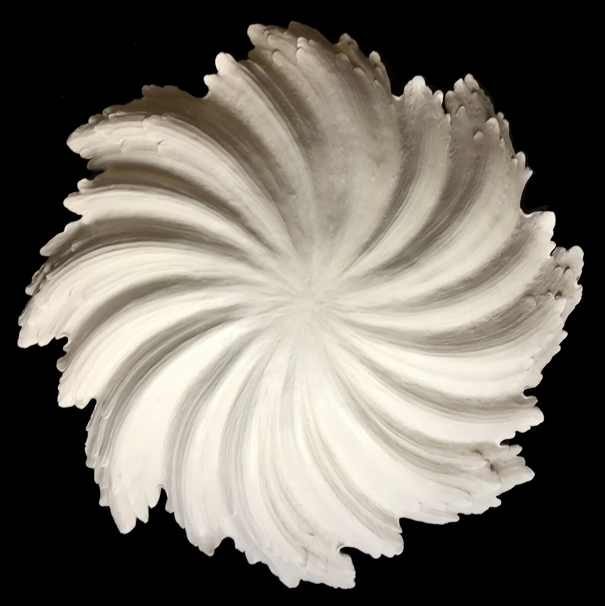 Shell - Victoria Stainow