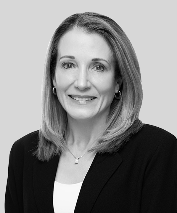 Meet the Pinnacle Development Team