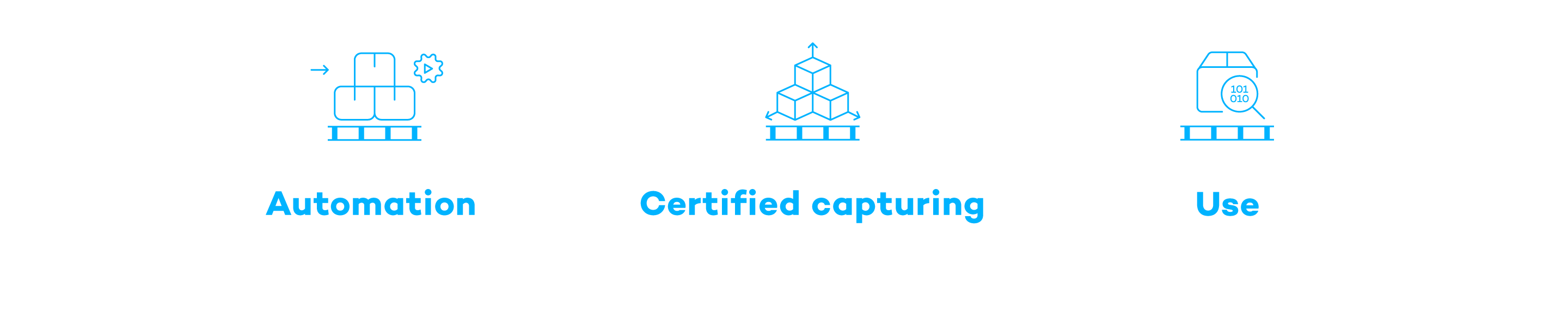 VITRONIC Pallet Capture Solutions | VITRONIC | Overview