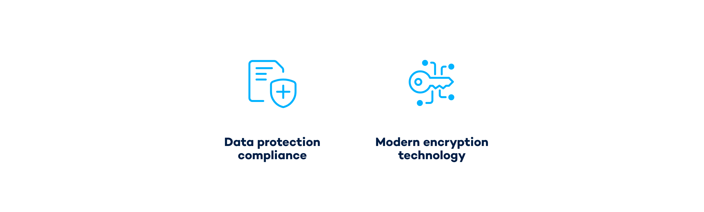 Mobile Phone And Seatbelt Detection Vitronic Overview
