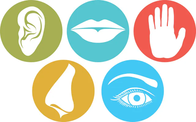 The Power of Sensory Marketing: How Brands Win by Appealing to the Senses
