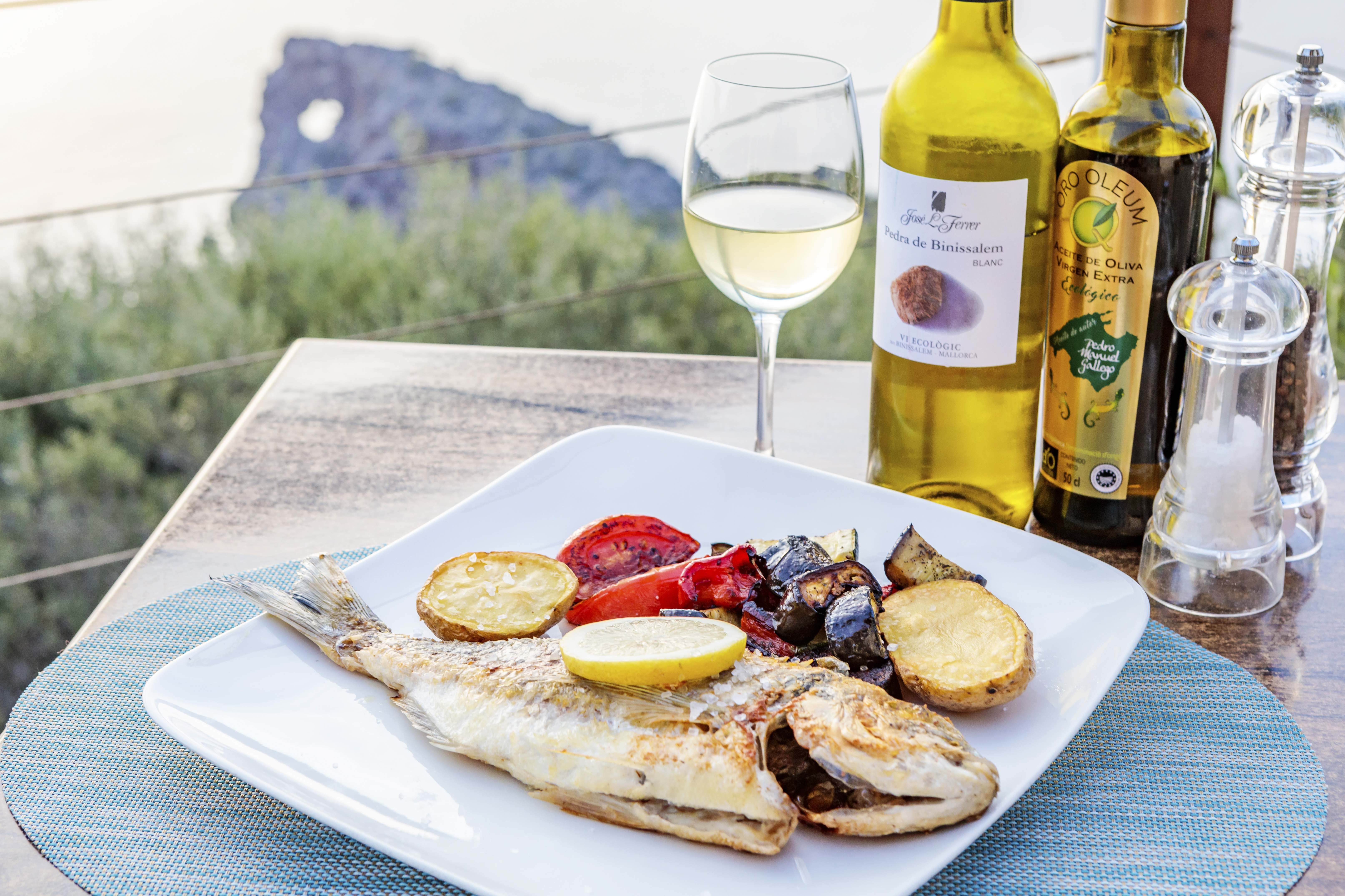 Villas in Majorca - Great Villas Affordable Prices | Villa Plus