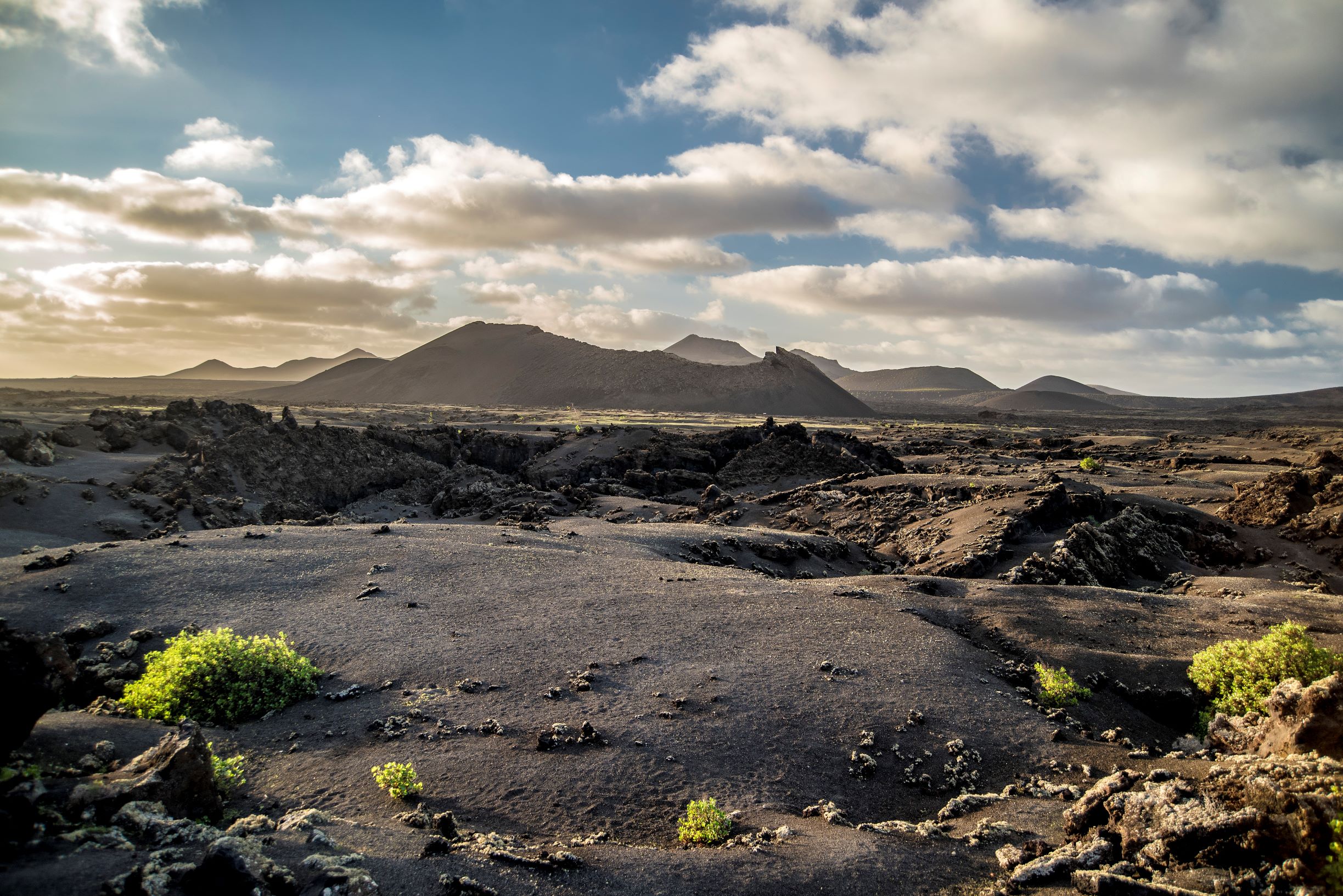 Villas En La Vegueta Resort 2023-2024 | Villa Plus