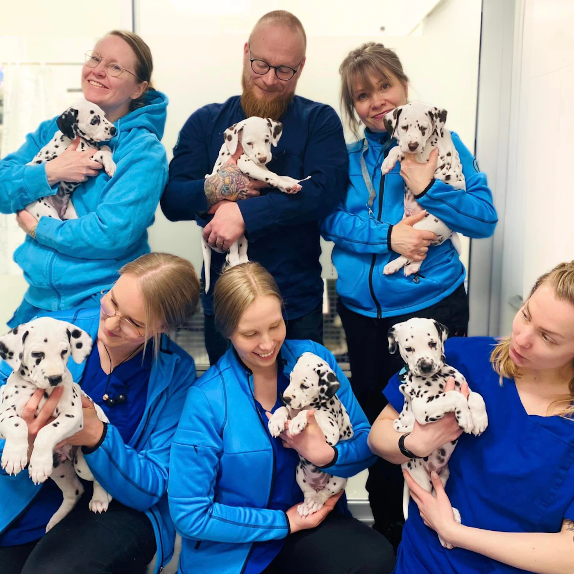 Oulun Eläinklinikka Klinikat Vireä Group