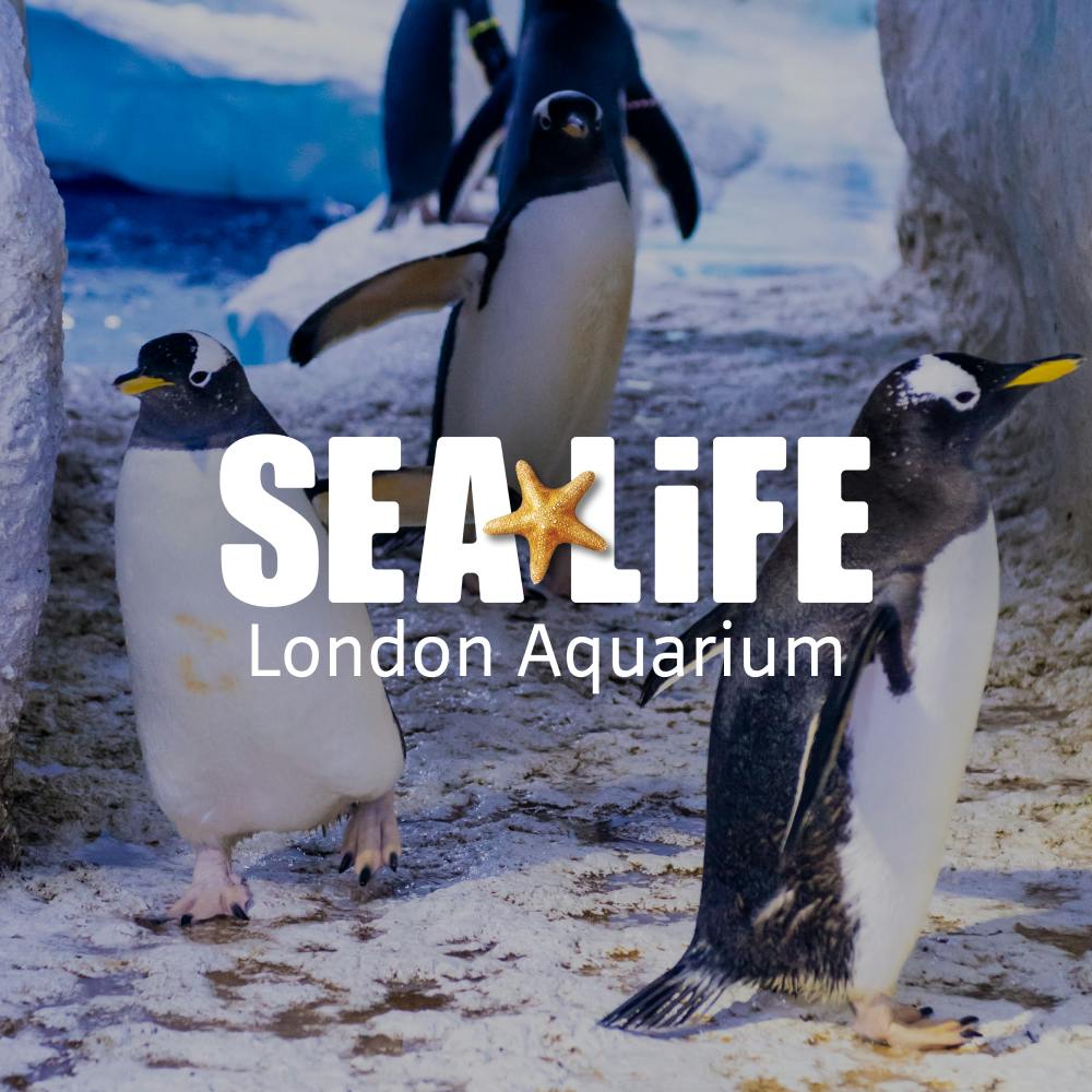 Merlin Attractions & Gift Vouchers - Virgin Experience Days