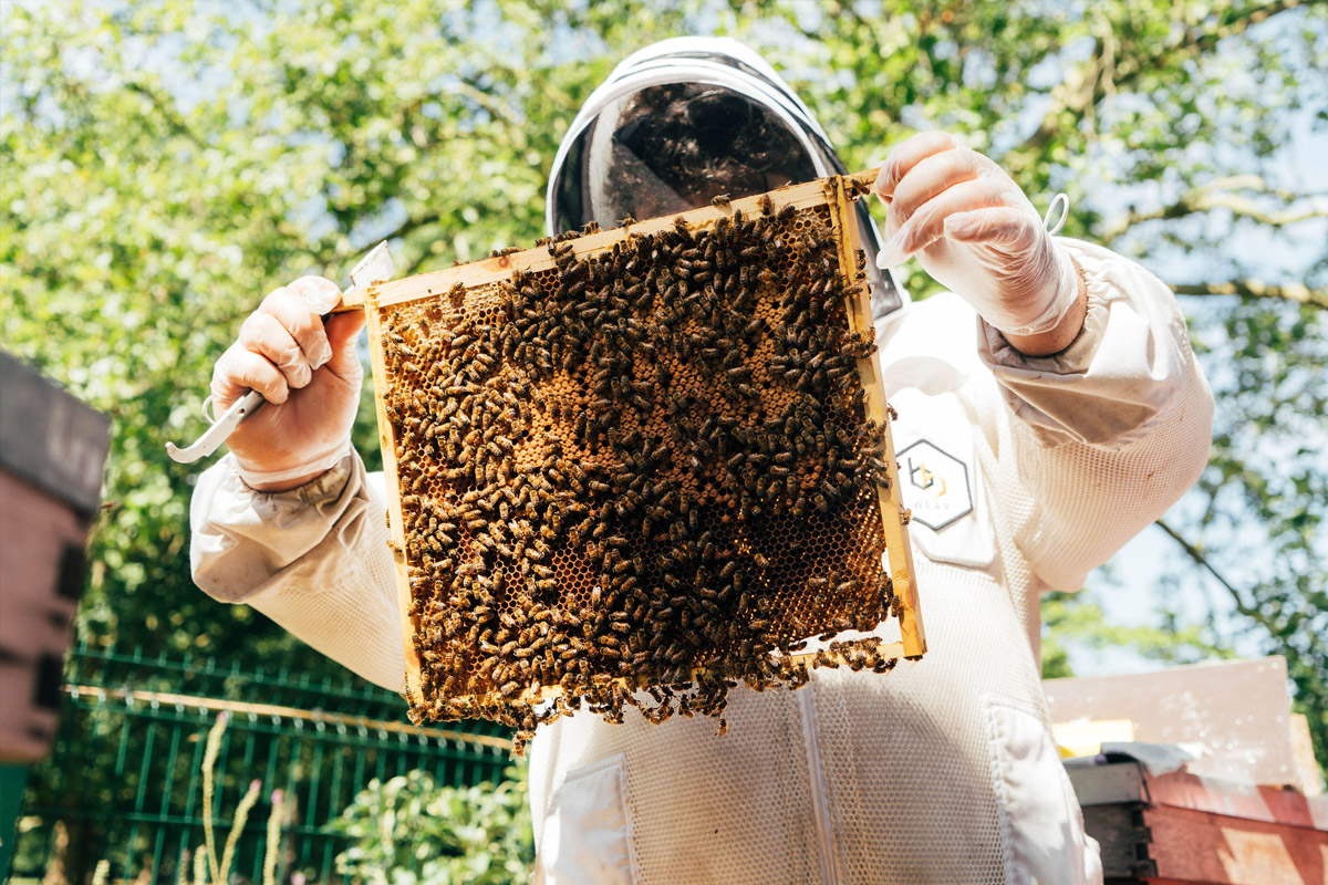 Day in a Life of a Hiver Beekeeper - Virgin Experience Days