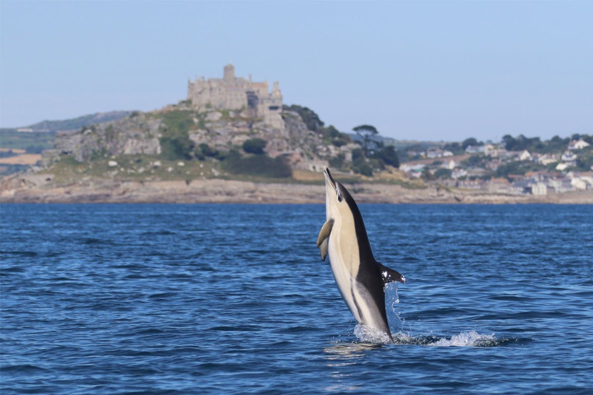45 Best Things to Do in Penzance | Virgin Experience Days