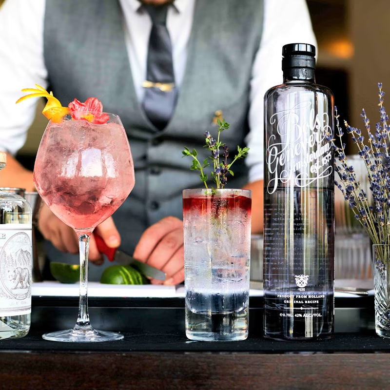 Gin Tasting Experiences You'll Love