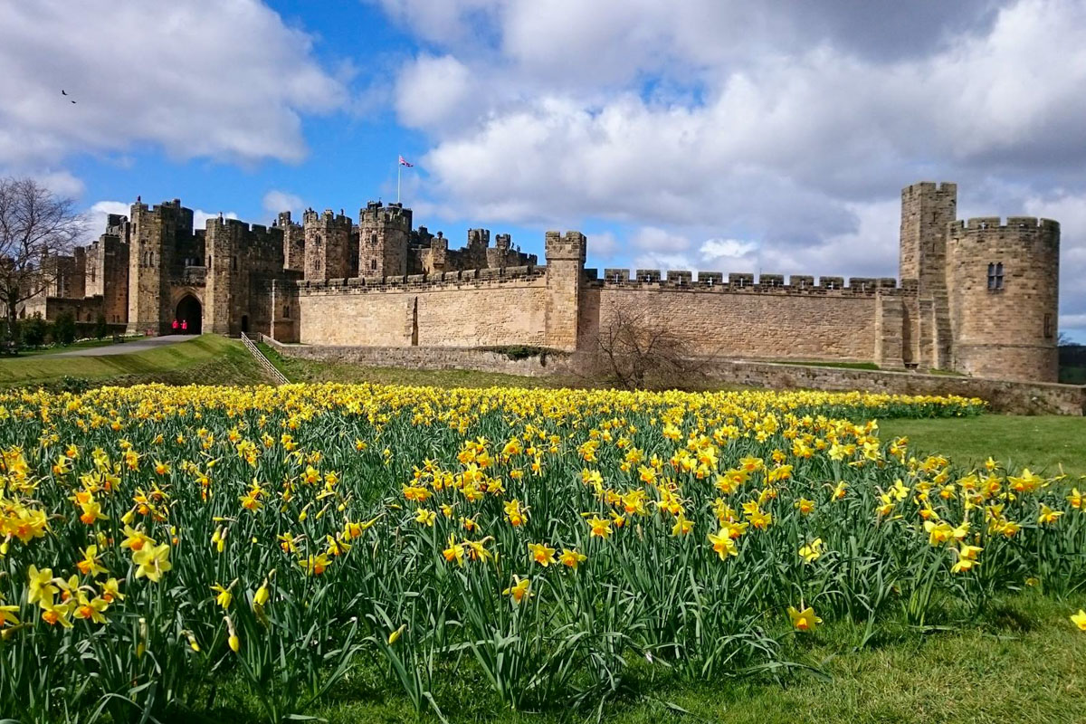 11 Best Castles and Palaces in the UK - Virgin Experience Days