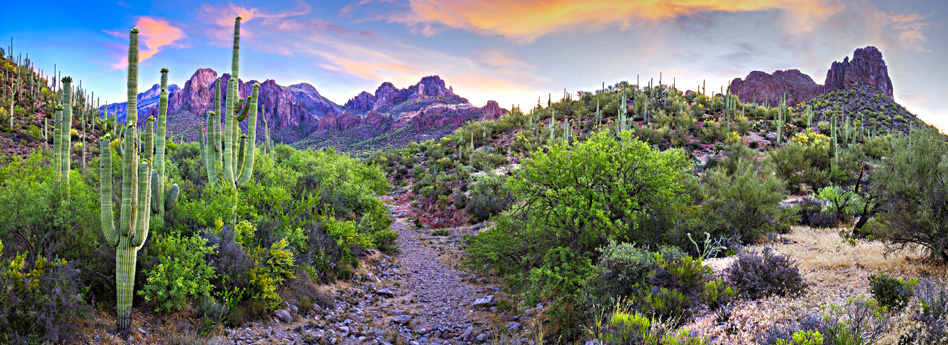 Arizona Experience Gifts & Things To Do - Virgin Gifts