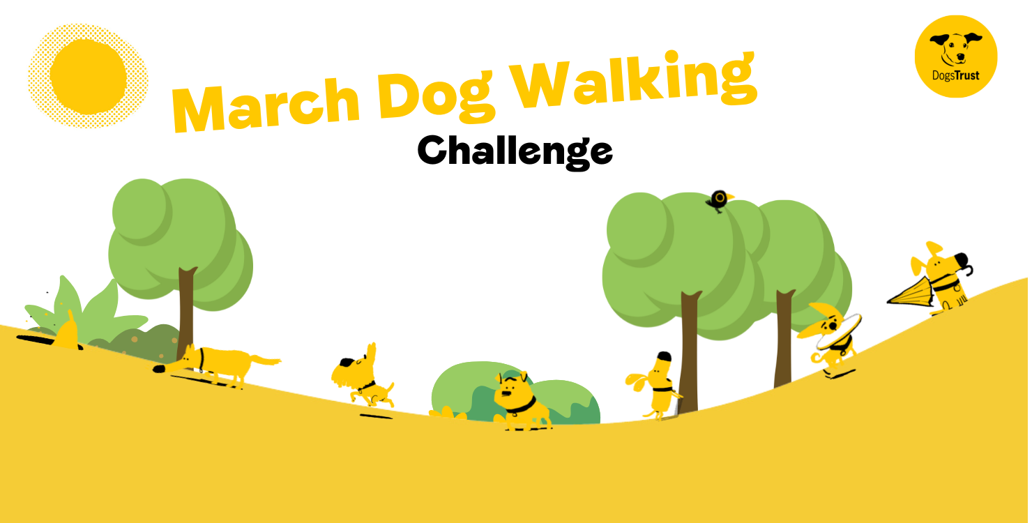 March Dog Walking Challenge - Dogs Trust Ireland