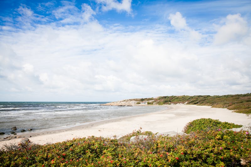 Where can you find Sweden's finest beaches? In Halland, of course ...