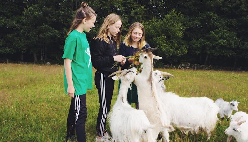 Family-friendly hikes - Visit Halland