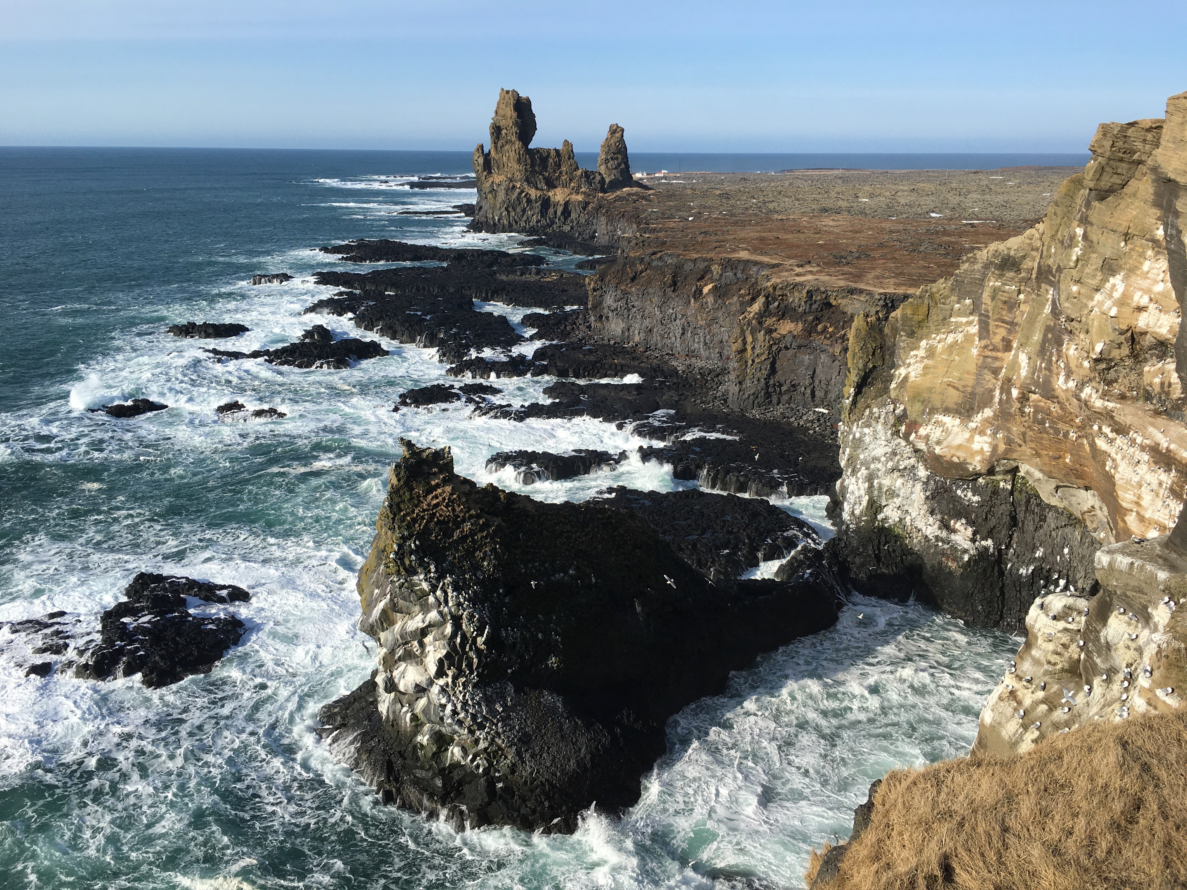 A bird cliff and sea stacks rising from a rugged coastline