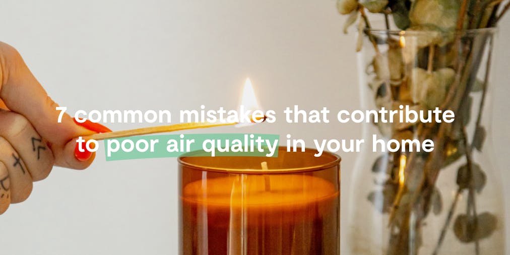 10 Easy Ways To Purify Air Naturally At Home | atelier-yuwa.ciao.jp