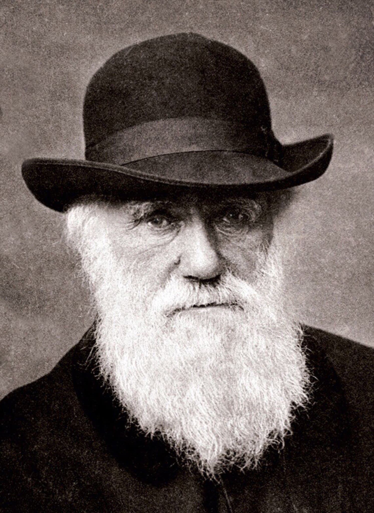 Sabia que dia 12 de fevereiro se comemora o Dia de Darwin?