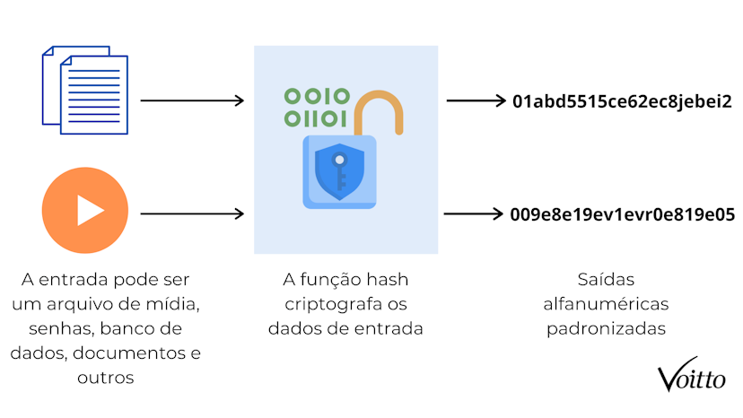 Hash: entenda o que é e o funcionamento dessa função