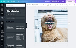 O Que Canva Aprenda A Criar Designs Incr veis 