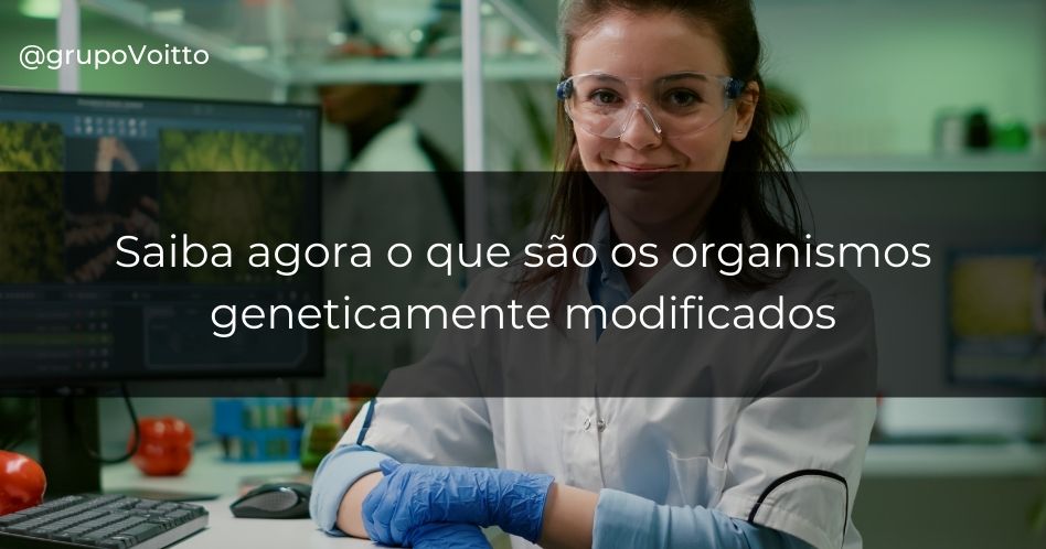 Você sabe o que são organismos geneticamente modificados?