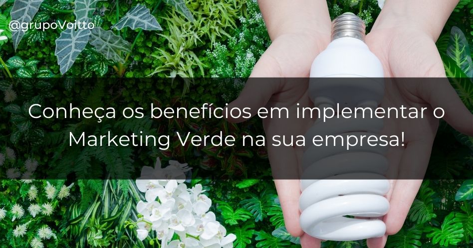 O que é marketing verde e qual sua importância?