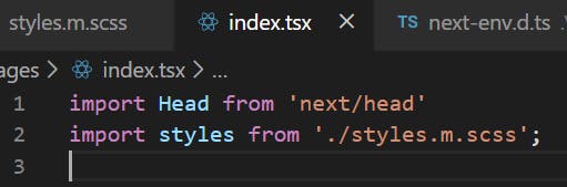 Using Scss With Typescript And Next Js Vova Pilipchatin