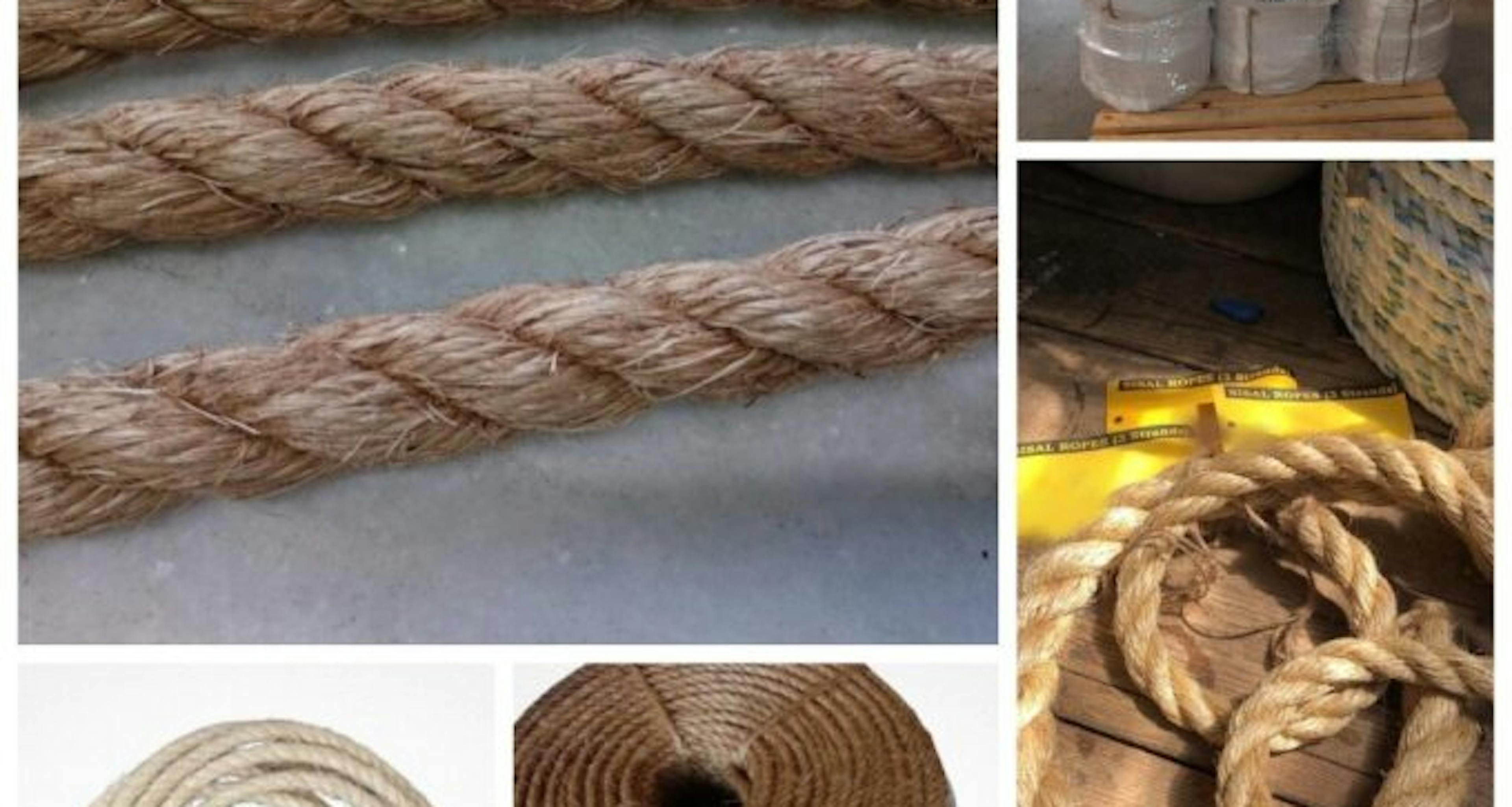 Explore Our Products