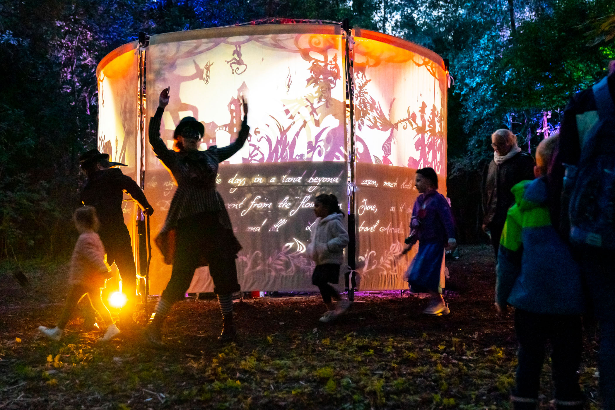 Shadowplay | Walk the Plank