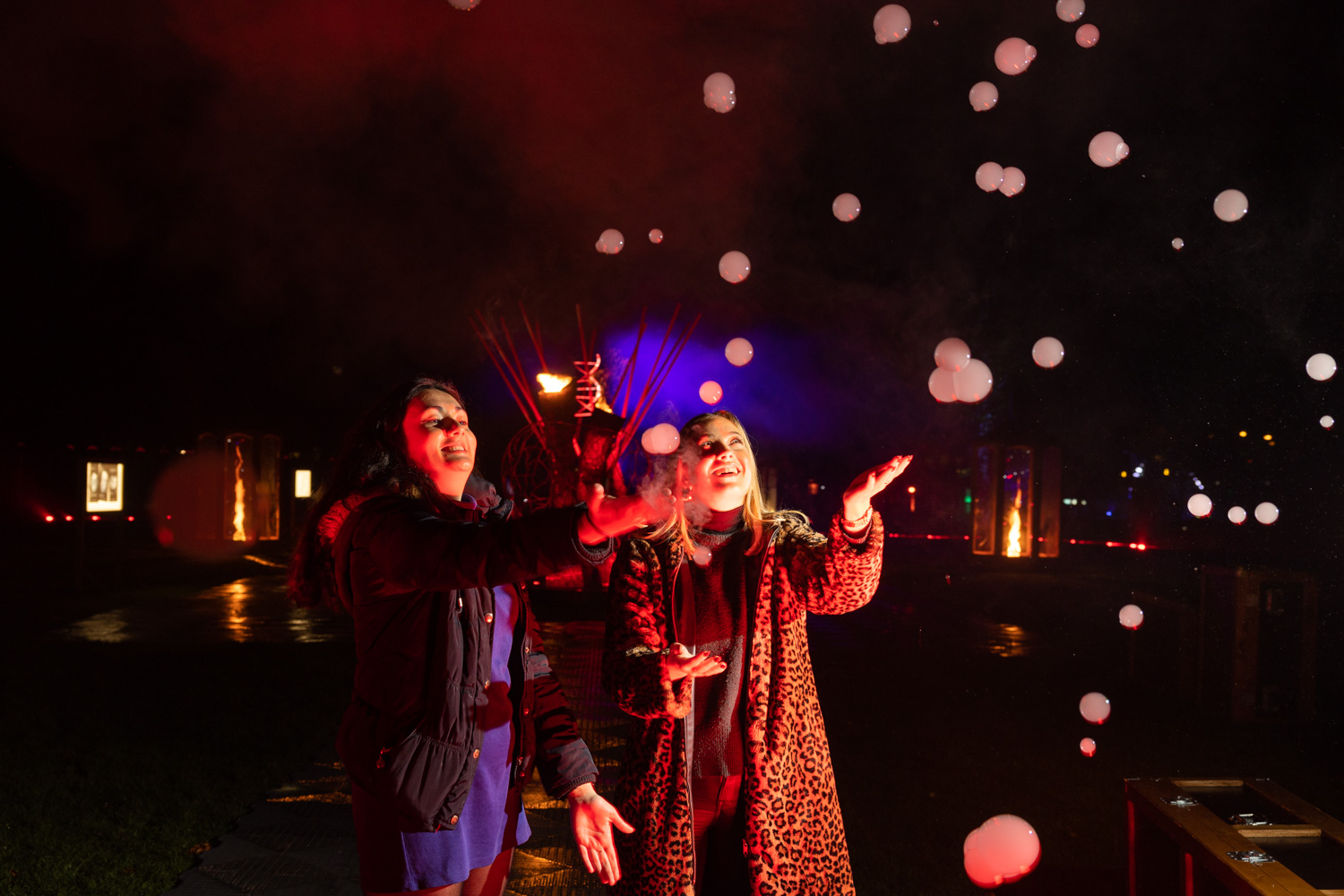 Privacy Policy | Walk the Plank