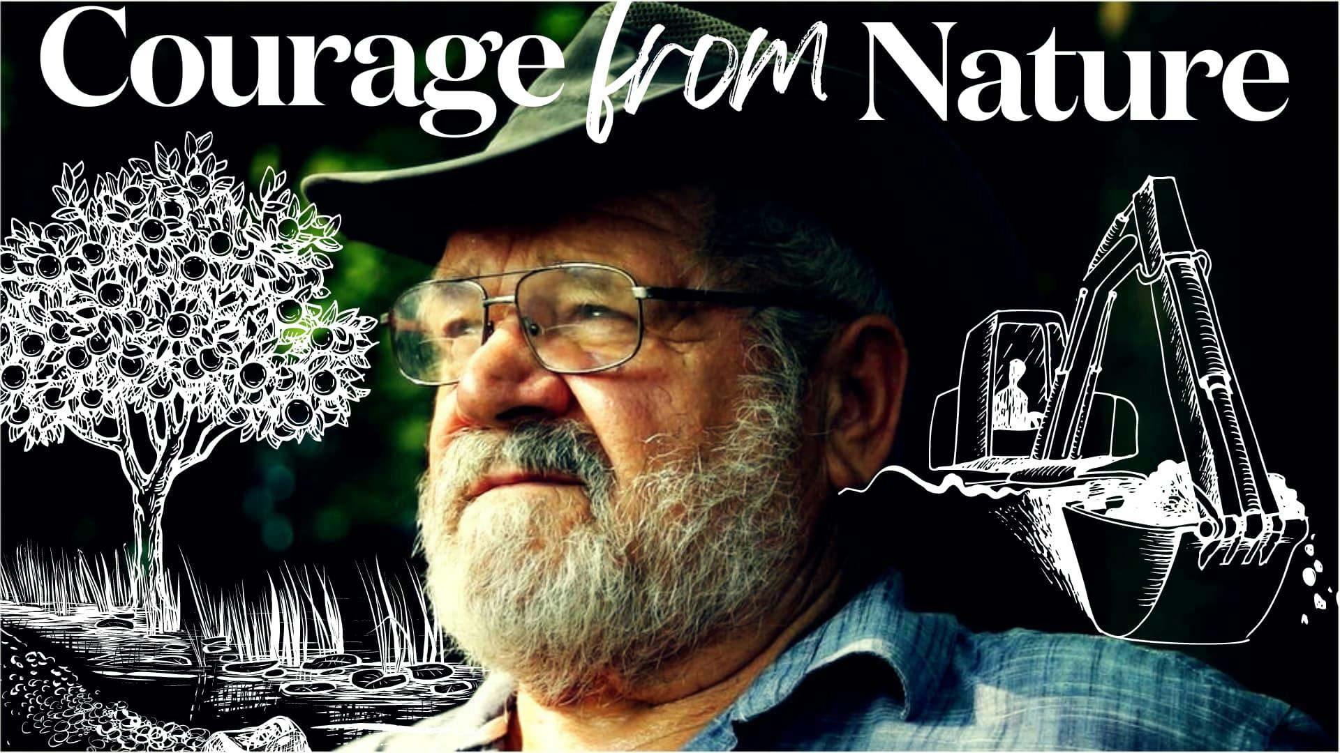 A Beautiful Example of