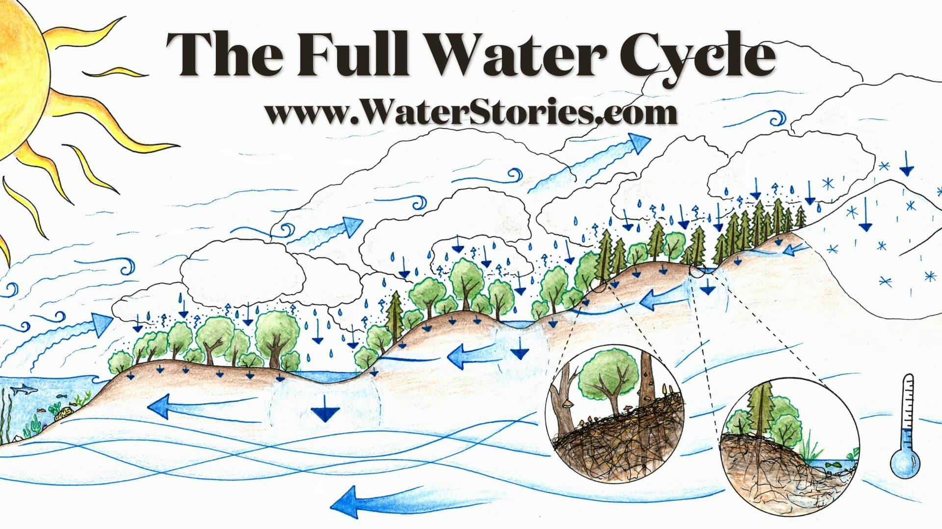 Most of us have been taught an over simplified story of the water cycle ...