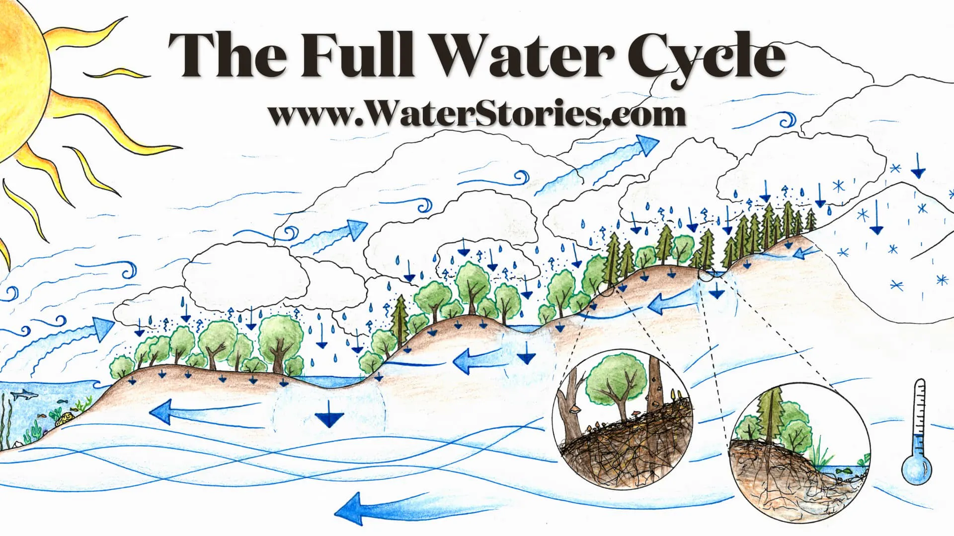 Water Stories - The Full Water Cycle