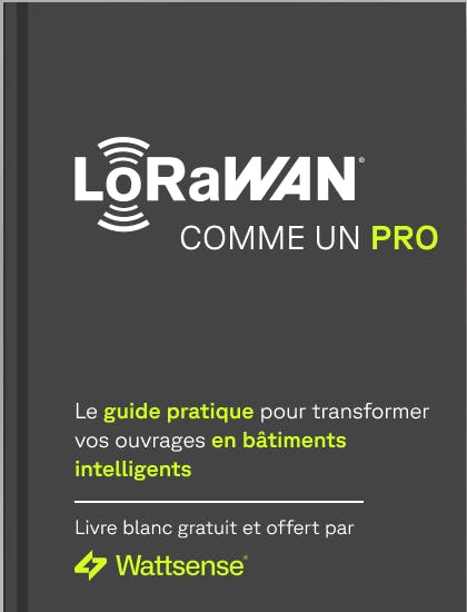 LoRaWAN : tout savoir sur le réseau IoT LoRa - Wattsense