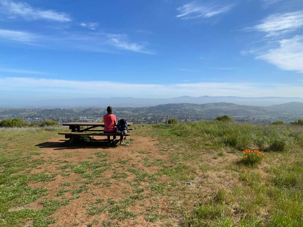 Quicksilver Confetti