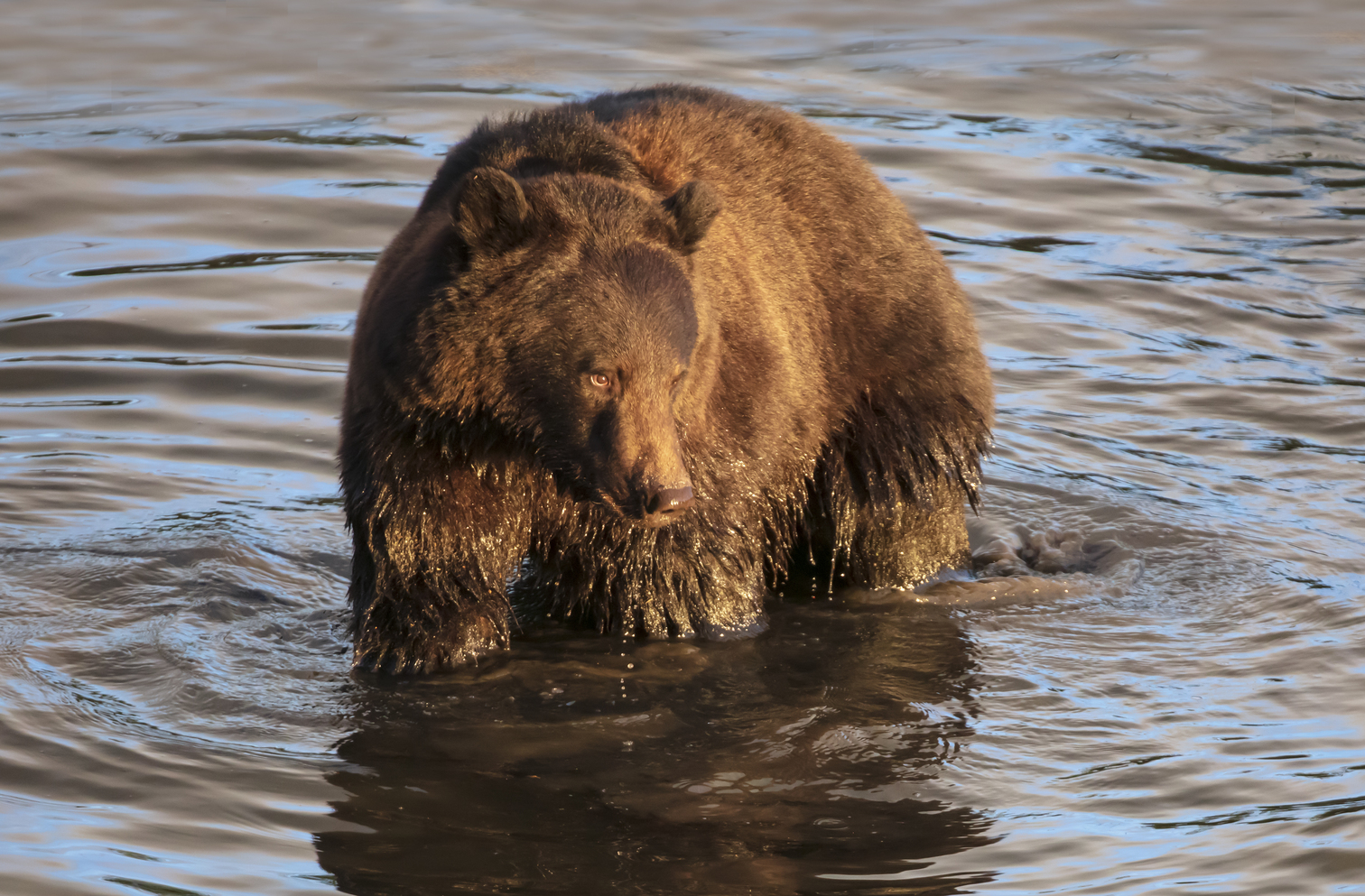 Anchor Yourself in Anchorage | Weekend Sherpa