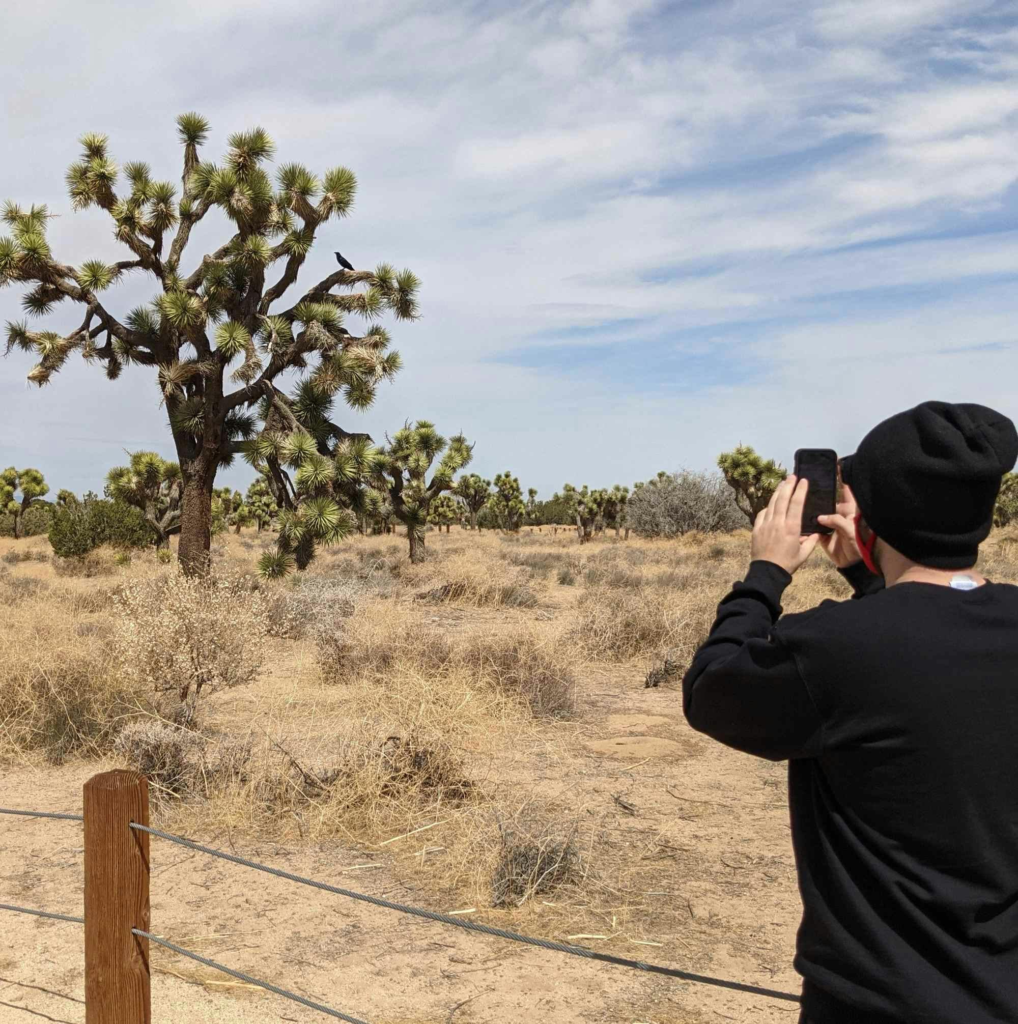 Take the Musical Road