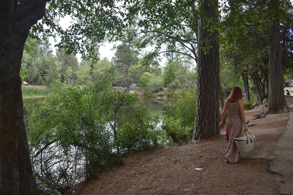 Idyllic Lake Fulmor