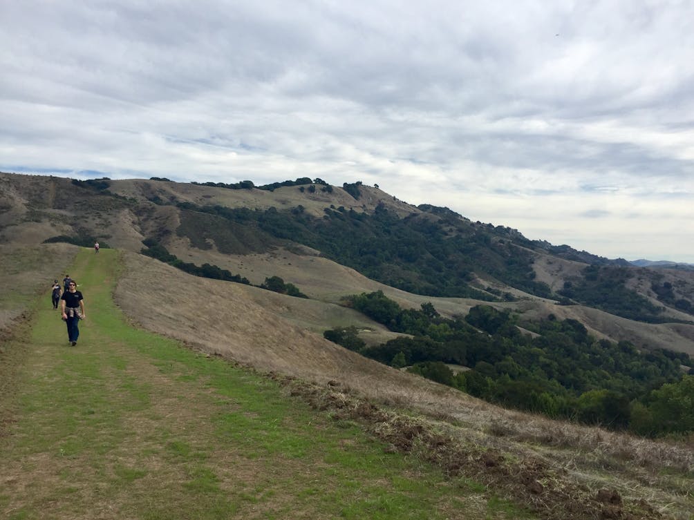 A Very Muiry Holiday Hike