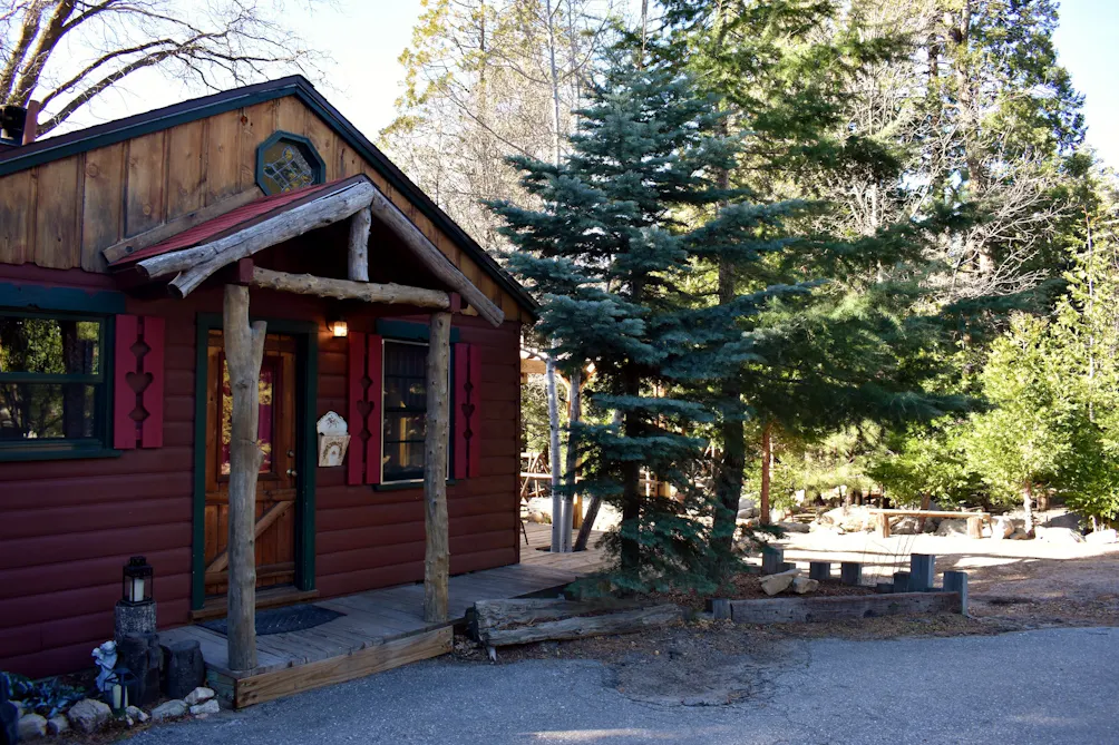 A Rose in the Pines