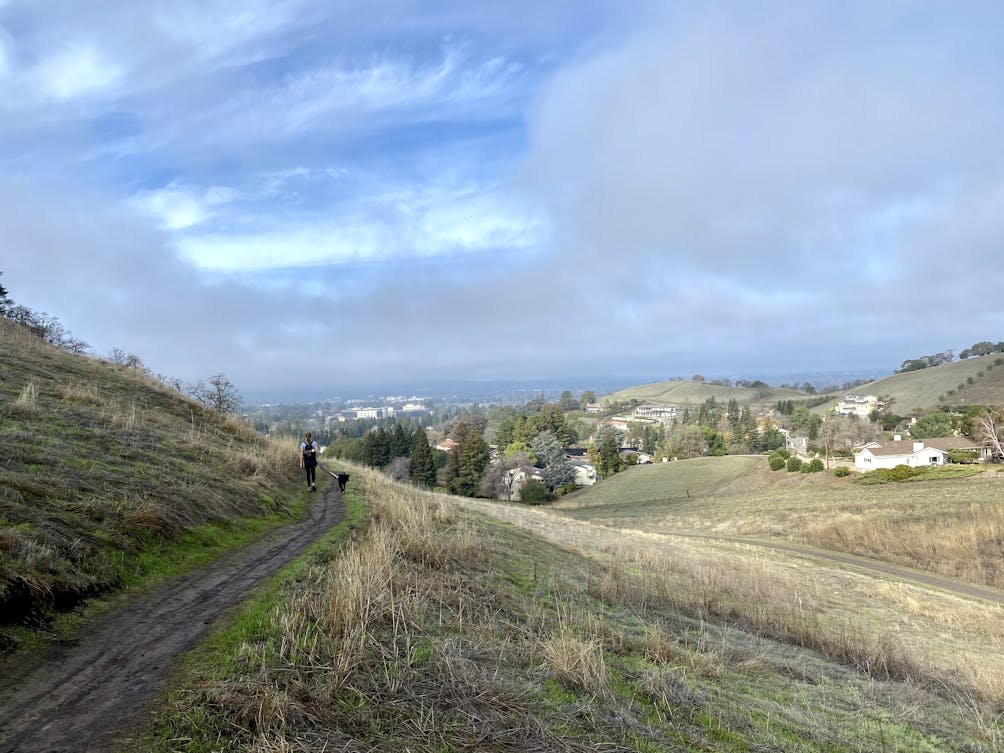 Shell of a Good Hike!