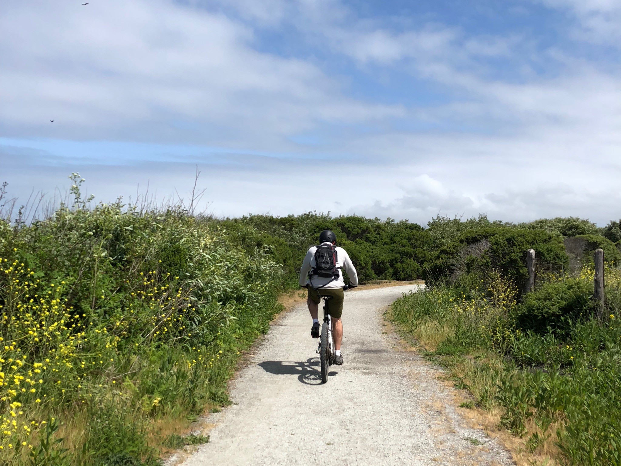 Pacific Views & Brews | Weekend Sherpa