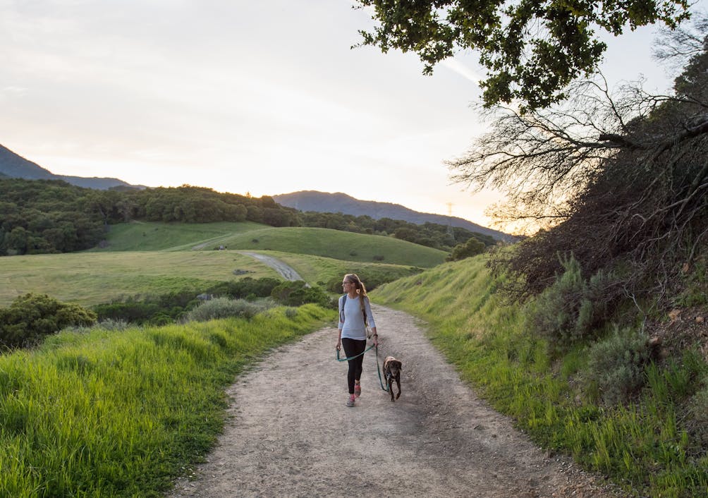 Digital Guide to 30 Local Hikes