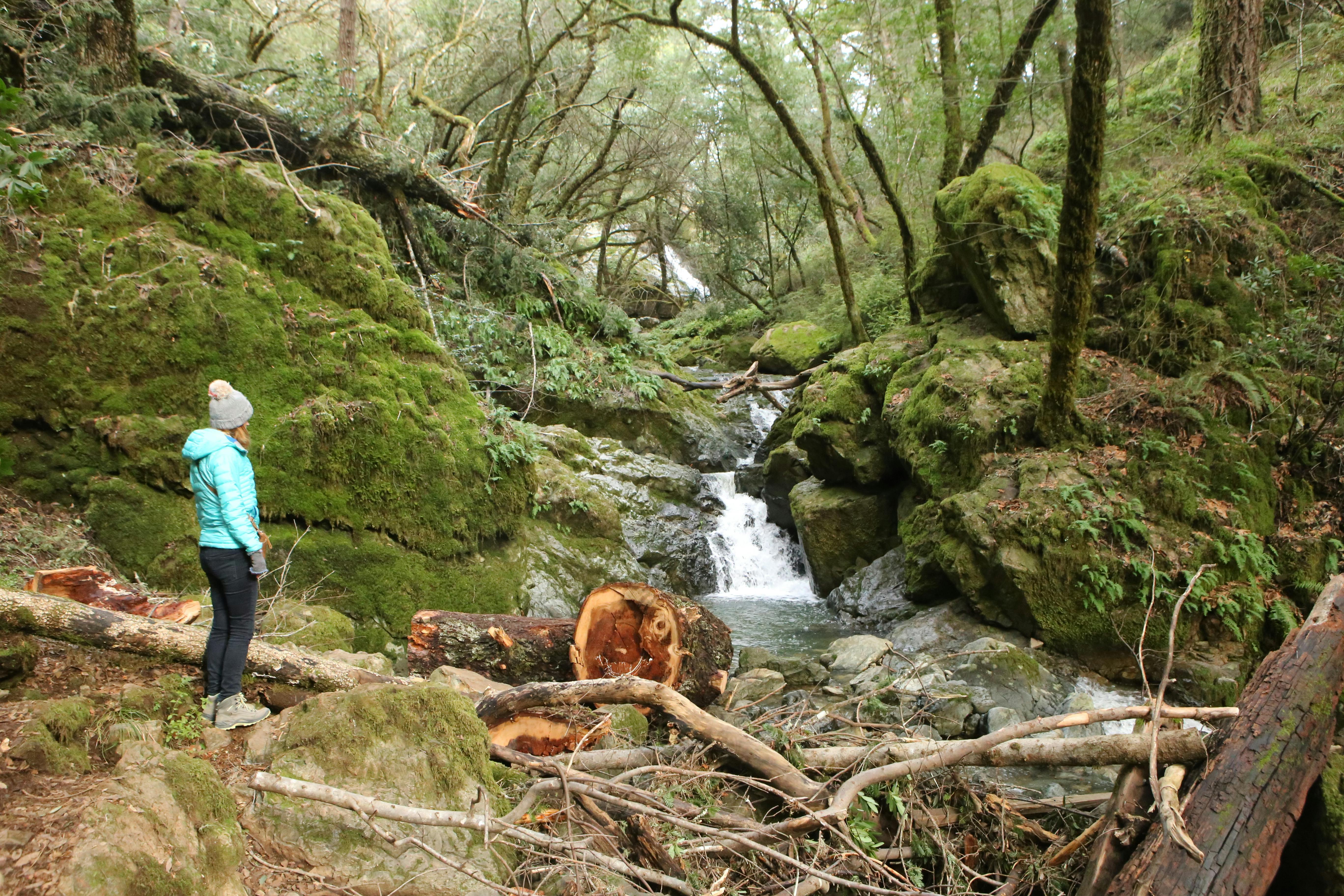 Mile-Long Cataract Club