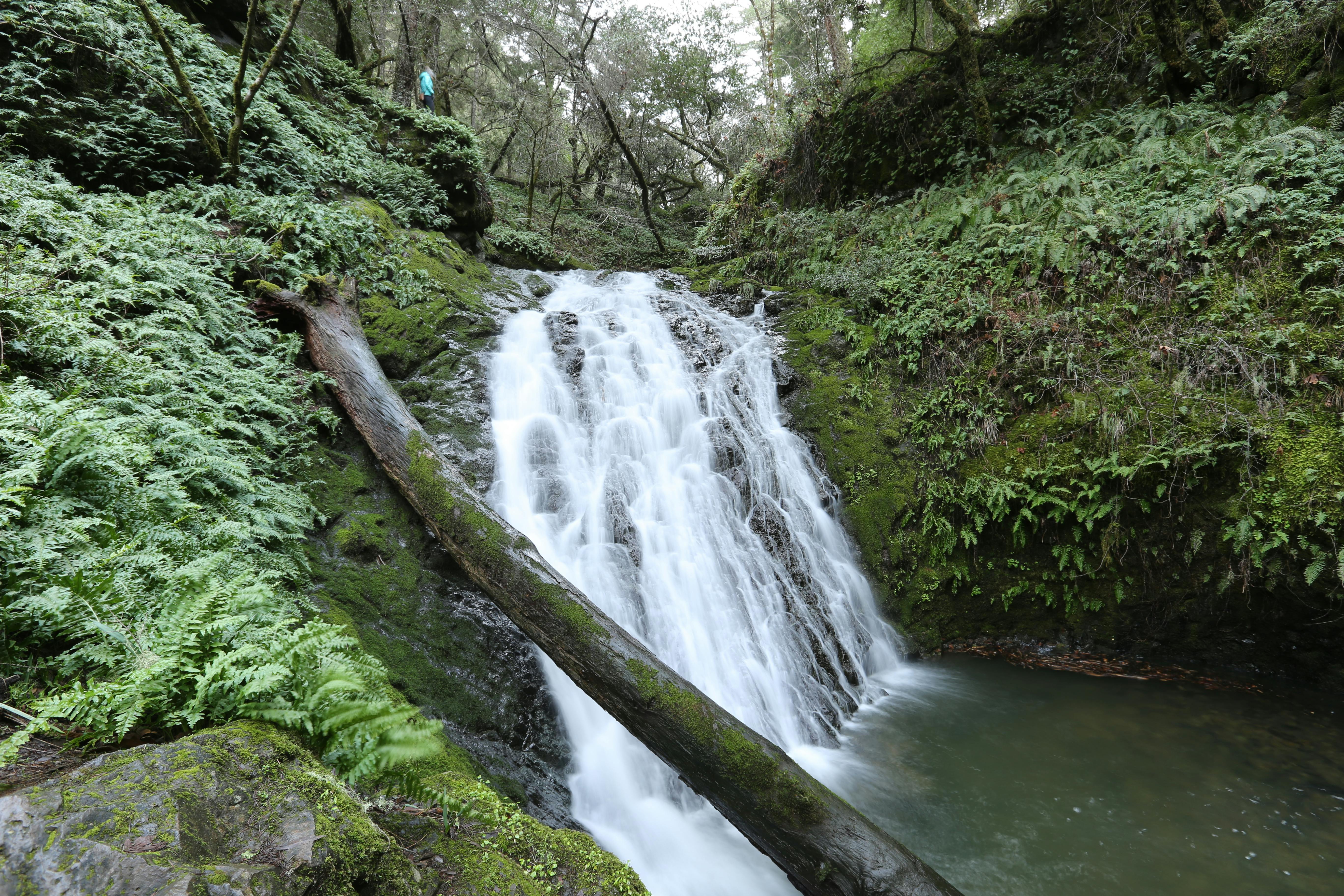 Mile-Long Cataract Club